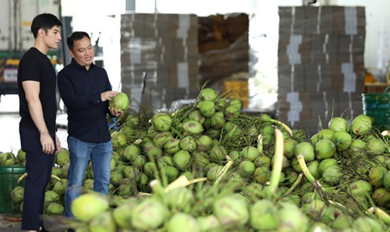 “กบจำศีล” เบื้องหลัง OptiBreath แพคเกจจิ้งมหัศจรรย์ยืดอายุผักผลไม้ ตอบ ...