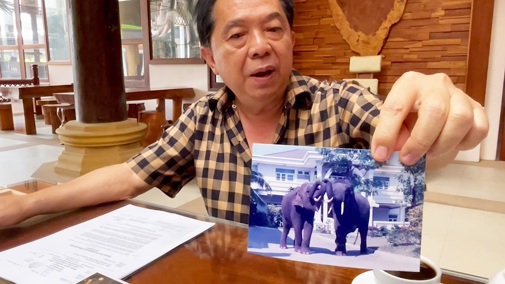 เปิดใจเจ้าของพลายศักดิ์สุรินทร์และพลายศรีณรงค์ Koratdaily Online หนังสือพิมพ์โคราชคนอีสาน